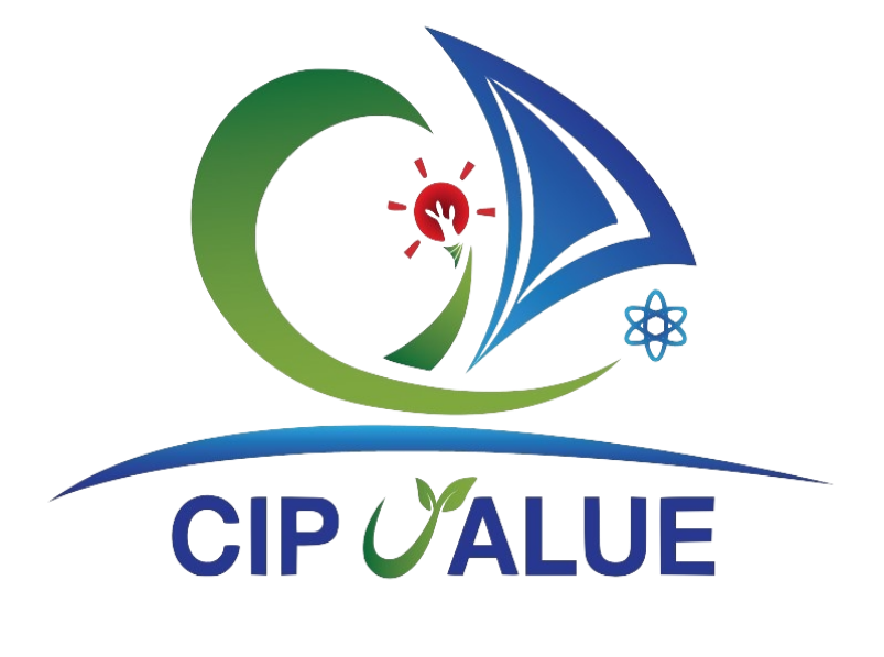 CipValue
